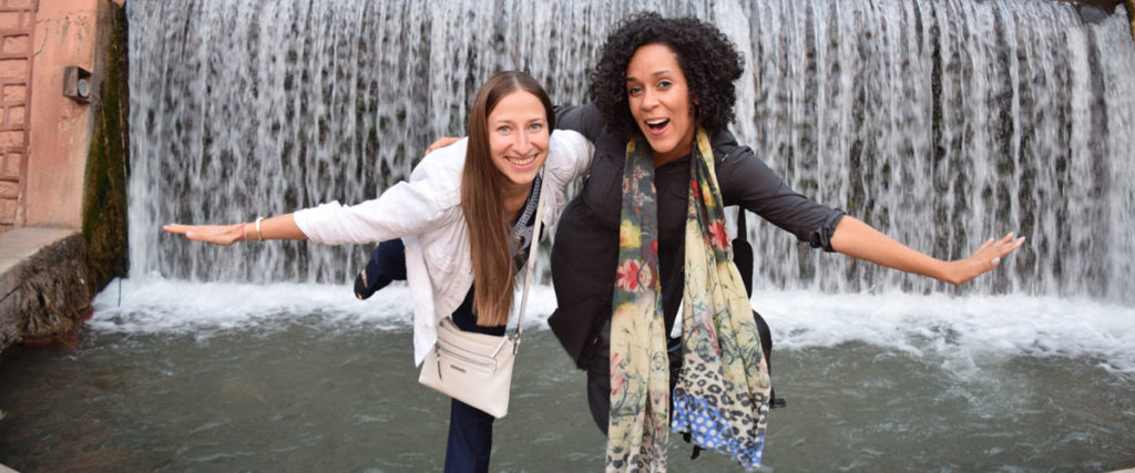 Professional Fellows Program